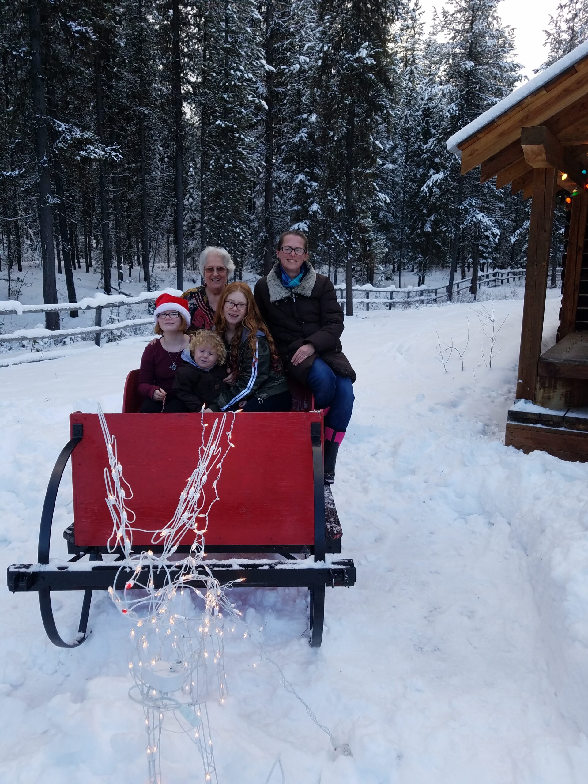 Christmas 2022-5 – Dawn Olson Jacobson – NFLA